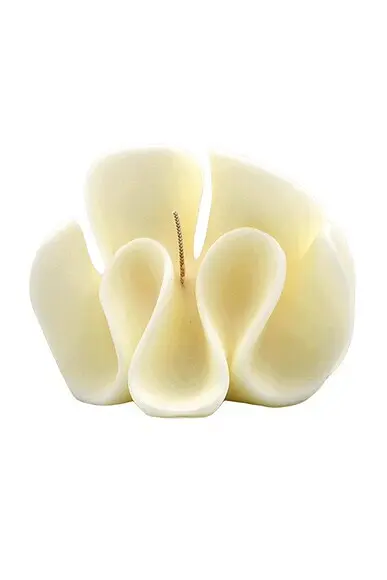 DAVIE OCHO CANDLE CO. Aurora Candle