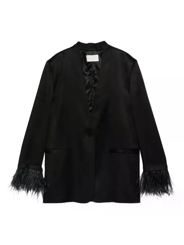 Montedoro Feather-trim Single-button Blazer - Black