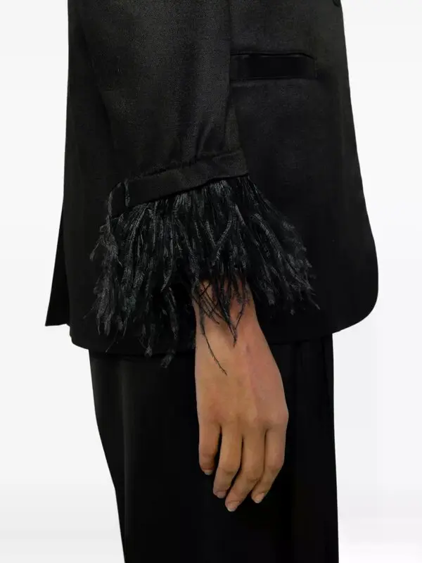 Montedoro Feather-trim Single-button Blazer - Black