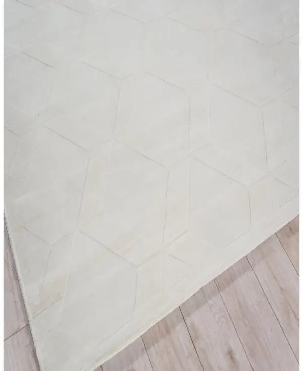 EXQUISITE RUGS Brunello Modern 6735 Area Rug 2'x3