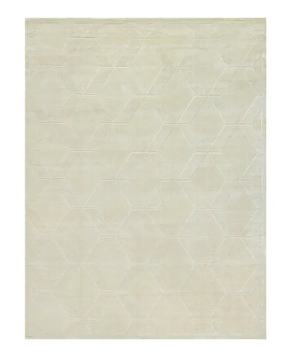 EXQUISITE RUGS Brunello Modern 6739 Area Rug 2'x3 - Beige