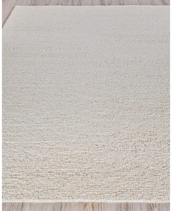 EXQUISITE RUGS Borelli 4750 Area Rug 2'x3