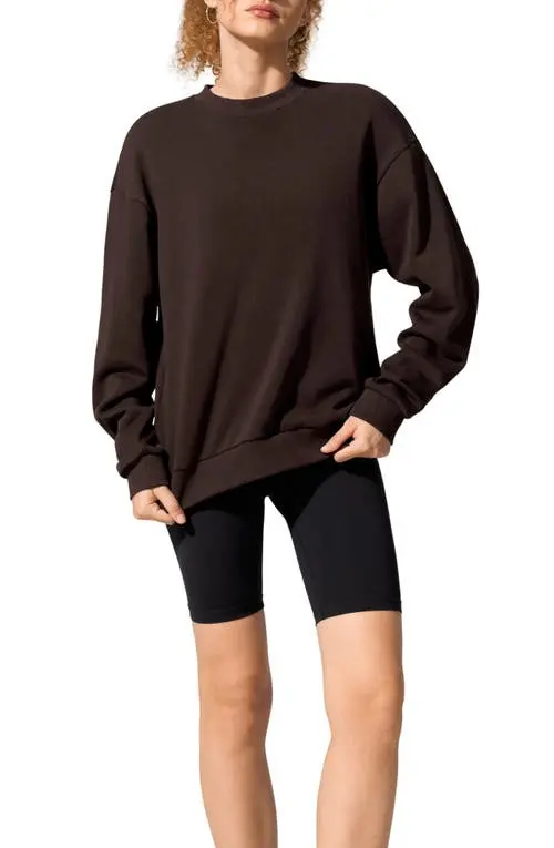 Lilysilk Silkerry™ Oversized Crew Pullover - Espresso