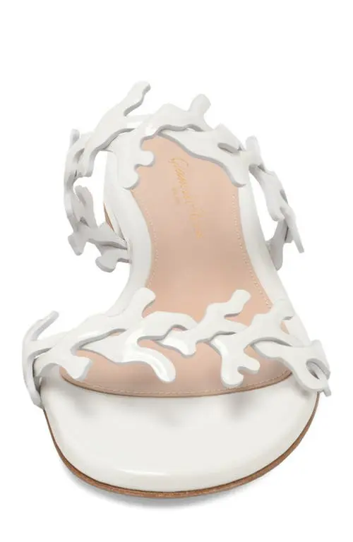GIANVITO ROSSI Ocean Mule