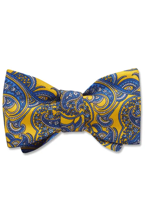 BEAU TIES OF VERMONT Eliora Bow Tie - Freestyle
