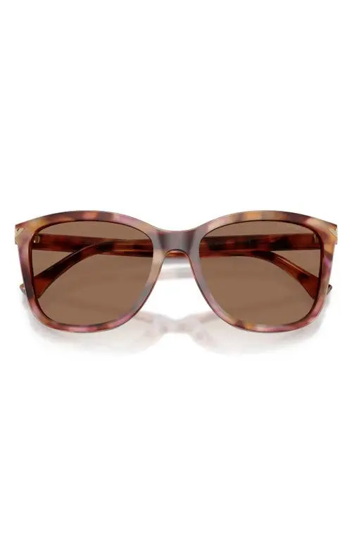 Emporio Armani 56mm Square Frame Sunglasses - Shiny Havana Red/dark Brown
