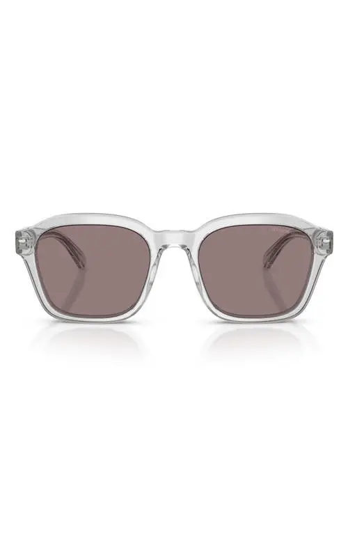 Emporio Armani 54mm Irregular Sunglasses - Shiny Crystal/purple Brown