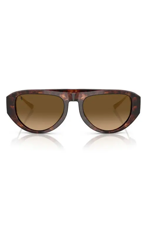 SCUDERIA FERRARI 55mm Pilot Sunglasses - Havana Caramel/brown Polar