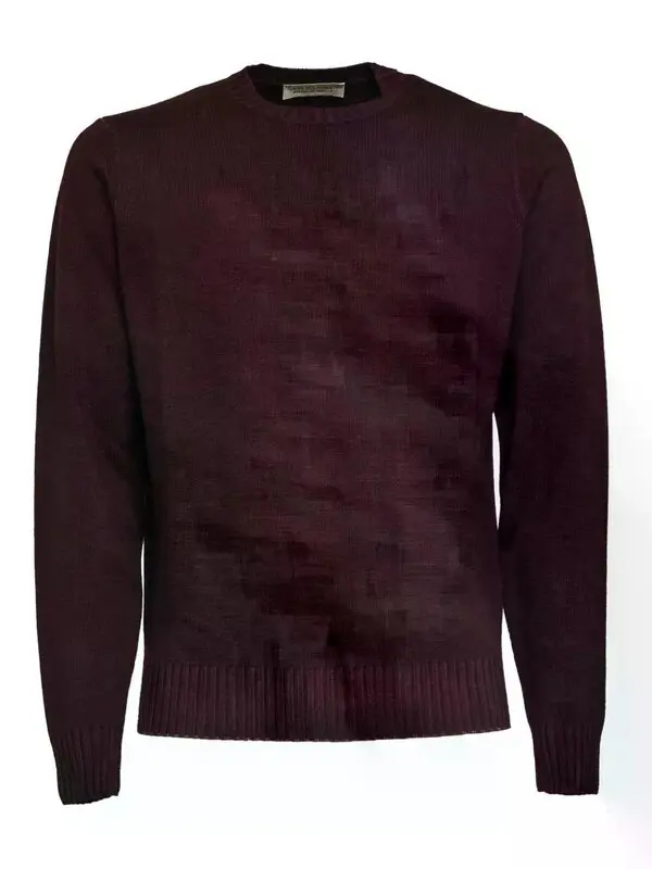 FILIPPO DE LAURENTIIS Crew Neck Long Sleeve Sweater