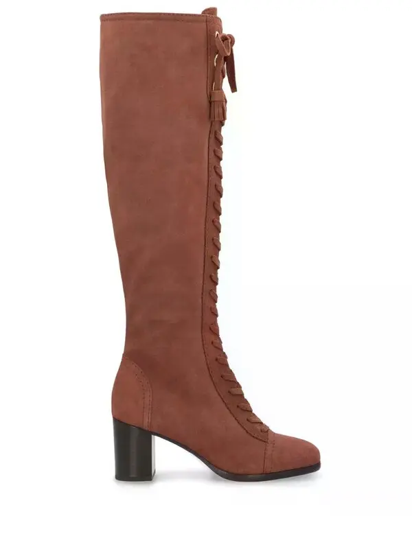 Alberta Ferretti Lace-up Knee High Boots