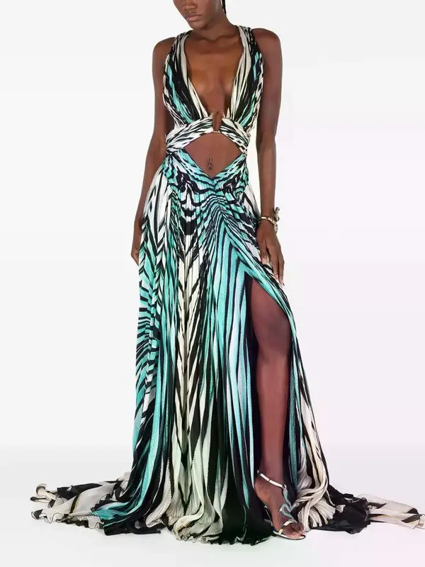 Roberto Cavalli Printed Maxi Dress