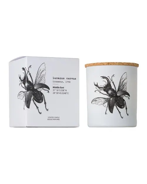 VILA HERMANOS Vila Insect Candle In Jar 6.7 Ounce - Lucanus Cervus