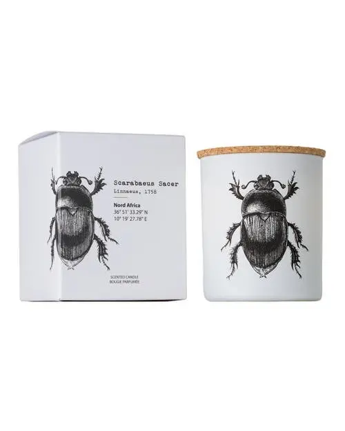 VILA HERMANOS Vila Insect Candle In Jar 6.7 Ounce - Scarabeus Sacer