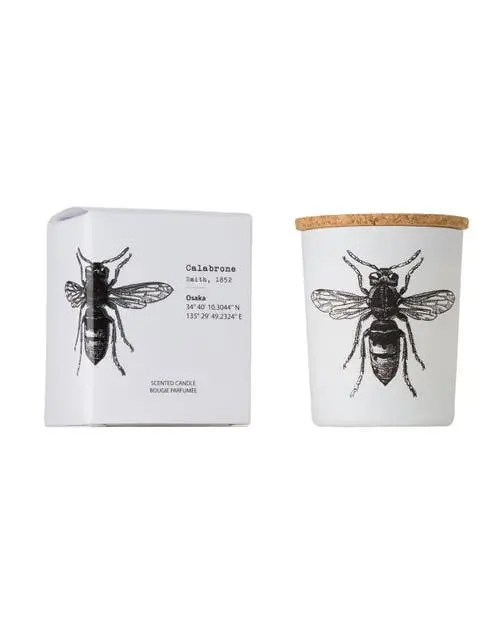 VILA HERMANOS Insect Candle In Jar 2.65 Ounce - Calabrone