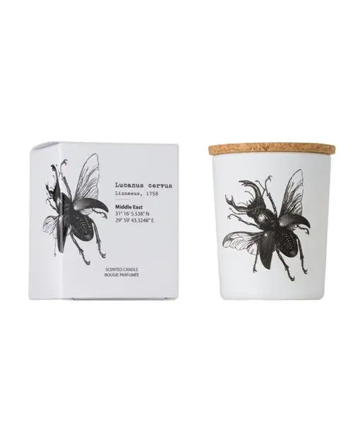 VILA HERMANOS Insect Candle In Jar 2.65 Ounce - Lucanus Cervus