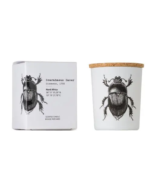 VILA HERMANOS Insect Candle In Jar 2.65 Ounce - Scarabeus Sacer