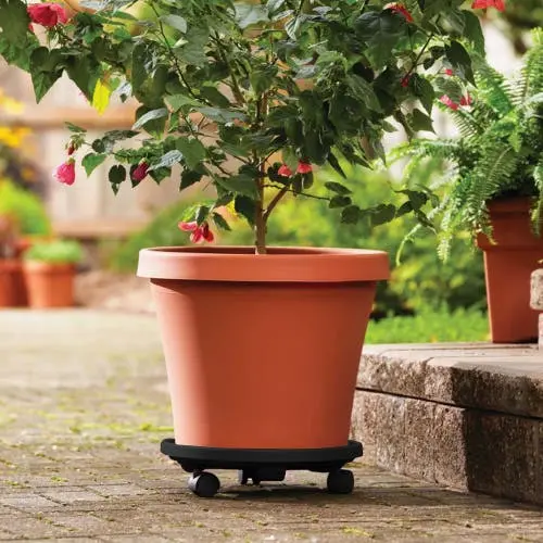 BLOEM 12 Inch Round Planter Caddy With Wheels