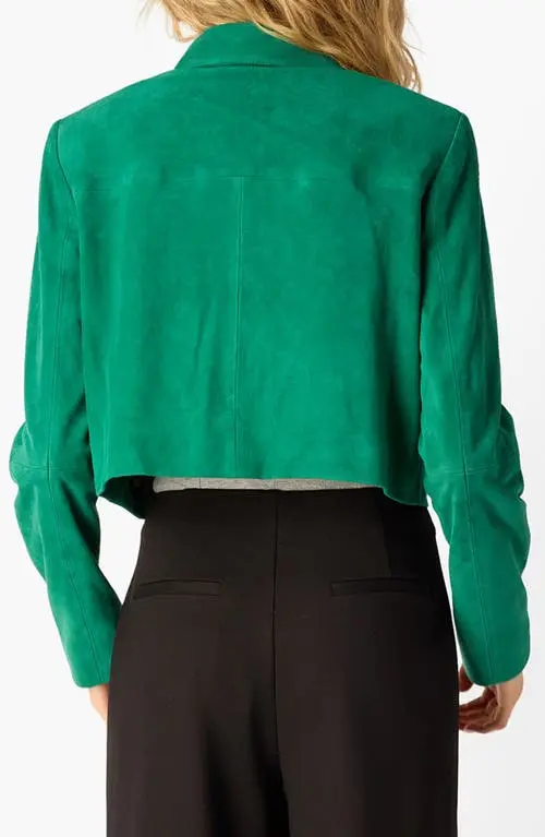 Cami Nyc Sullivan Suede Jacket - Verdant