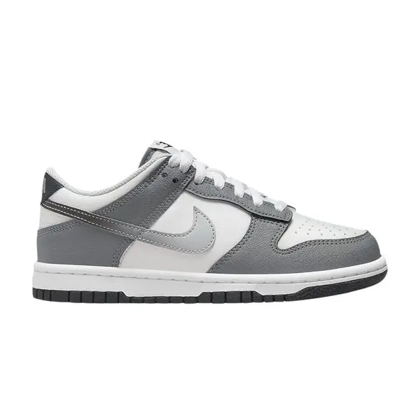 Nike Dunk Low Gs Sneakers