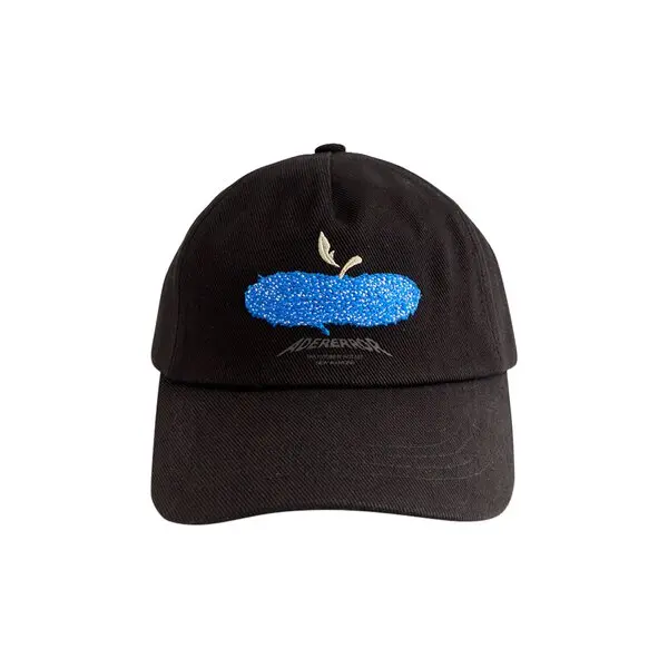 ADER ERROR Cap - Black