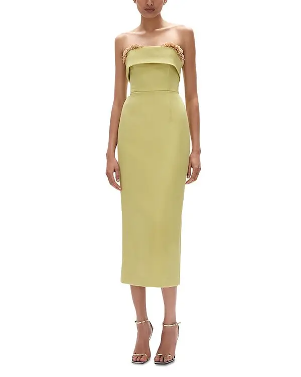 Rachel Gilbert Laira Strapless Dress