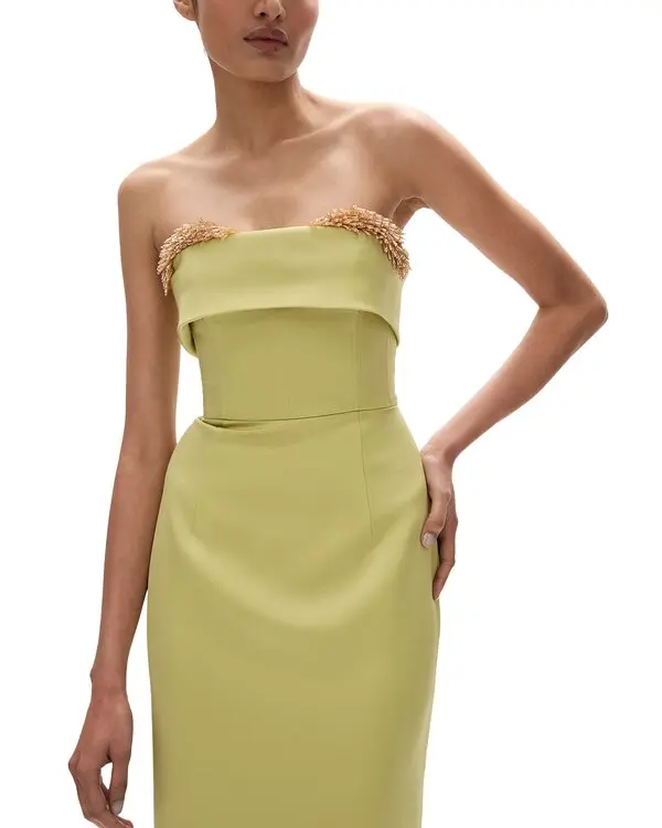 Rachel Gilbert Laira Strapless Dress