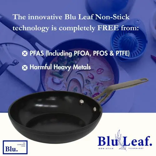 BLU. 11 Inch Induction Frying Pan