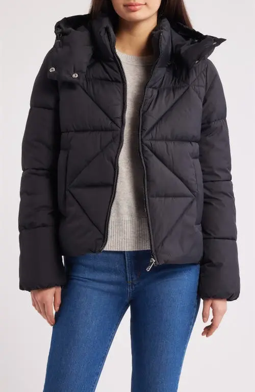 Sam Edelman Cropped Puffer Jacket - Black