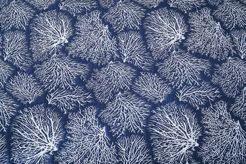 C&F HOME Coral Jaquard Coverlet