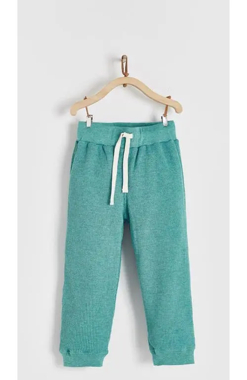 BABYCOTTONS Pima Cotton Waffle Knit Pants - Green