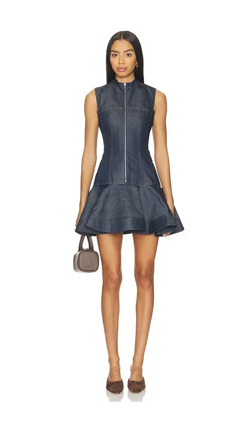 Alexis Taylin Dress