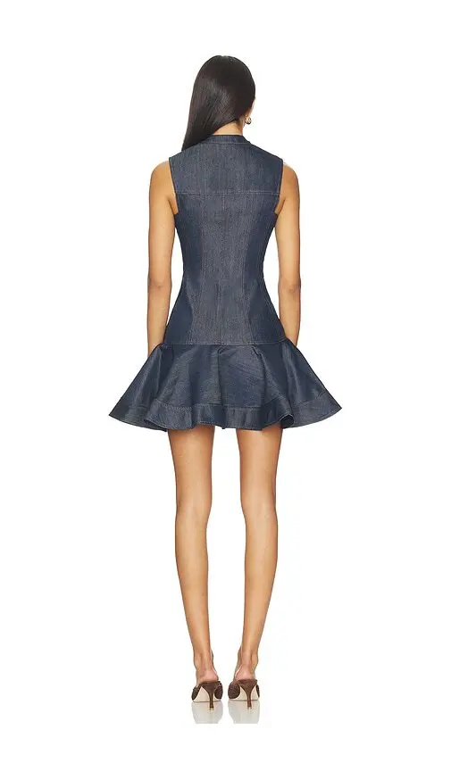 Alexis Taylin Dress