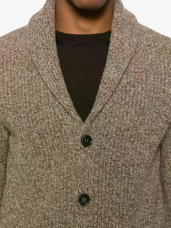DANIELE FIESOLI Buttoned Shawl-collar Cardigan