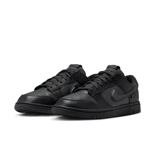Nike Dunk Low Gore-tex Sneakers