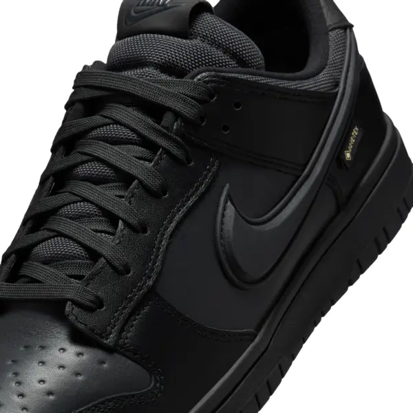 Nike Dunk Low Gore-tex Sneakers