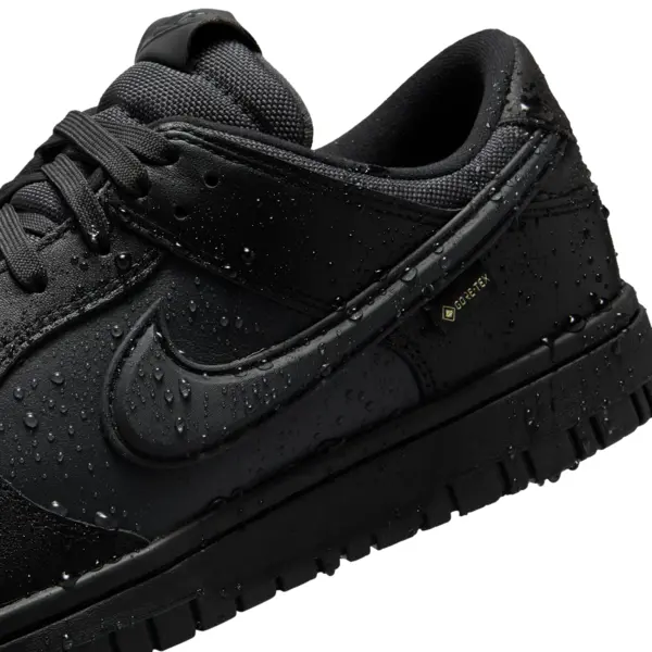 Nike Dunk Low Gore-tex Sneakers