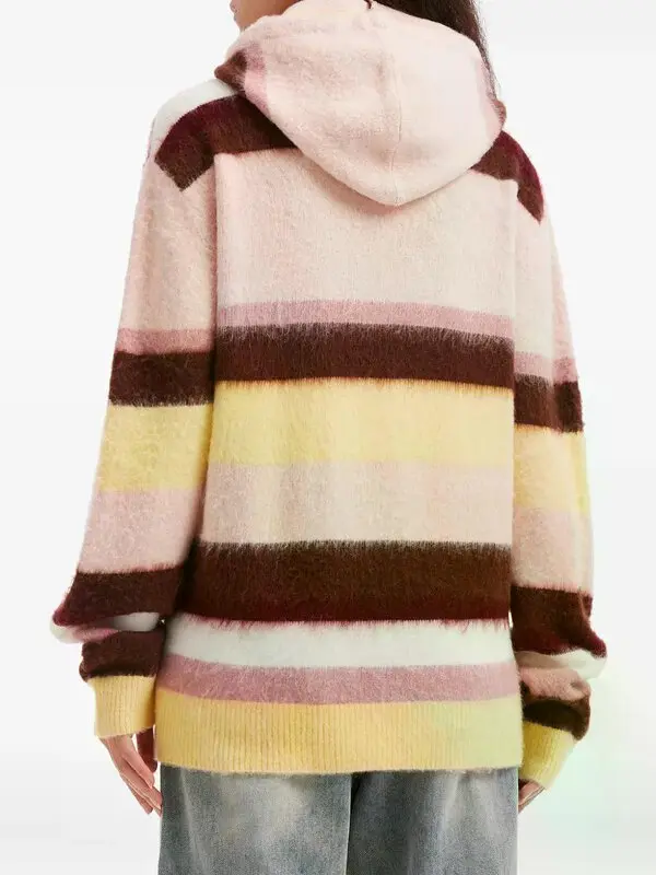 B+AB Striped Hooded Sweater