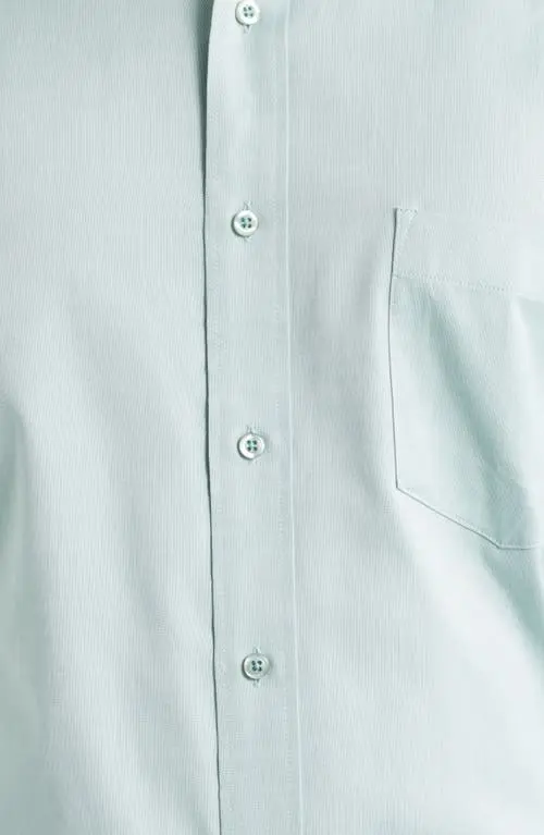 EAGLE Regular Fit Light Cotton Button-down Oxford Shirt