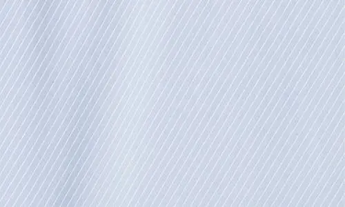 Canali Regular Fit Dress Shirt - Blue