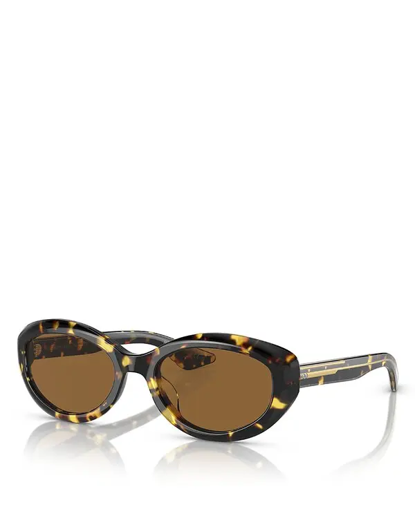 Khaite X Oliver Peoples Oval Sunglasses, 53mm - Dark Tortoise