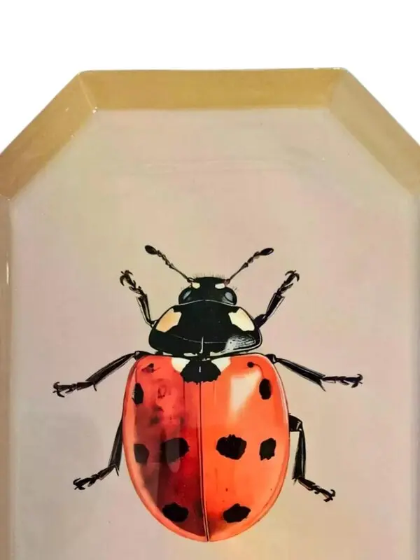 LES-OTTOMANS Ladybug-print Tray