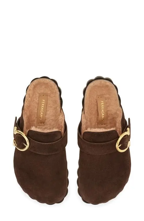 FERRAGAMO Zaida Shearling Lined Clog - Testa Di Moro