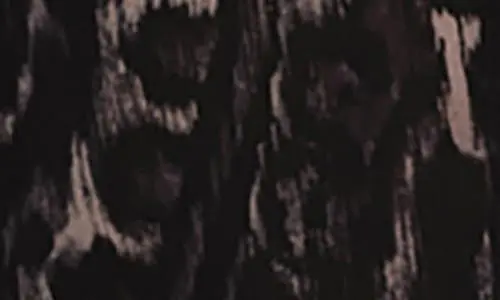 Bella Dahl Fitted Button-up Shirt