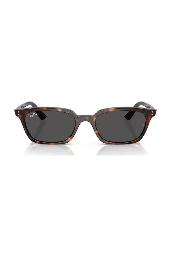 Ray-ban Zaya Bio-based Sunglasses
