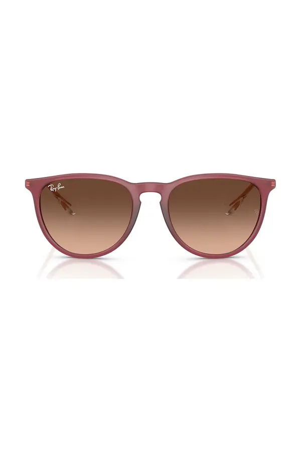 Ray-ban Erika Classic Sunglasses