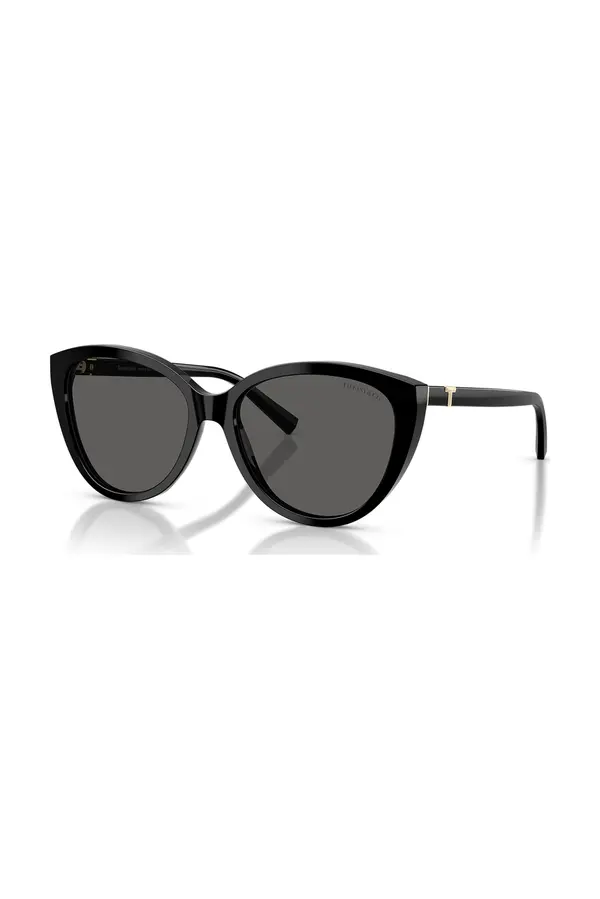 TIFFANY SUNGLASS HUT Tiffany & Co. Cat Eye Sunglasses - Black