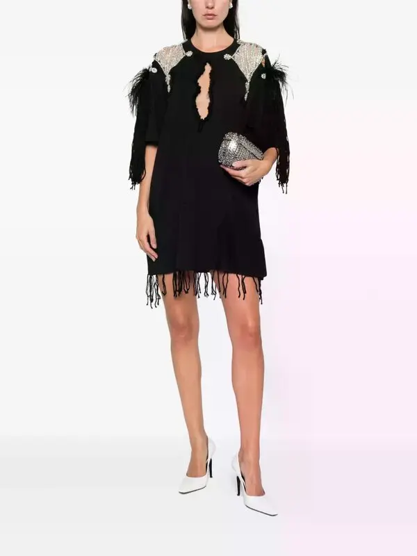 LOULOU Feather-embellished Mini Dress