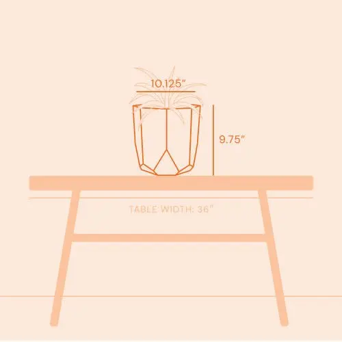 BLOEM 10 Inch Tuxton Hexagon Planter