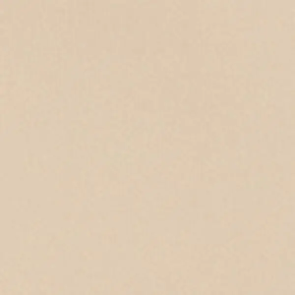 SKIMS Fits Everybody Briefs - Beige