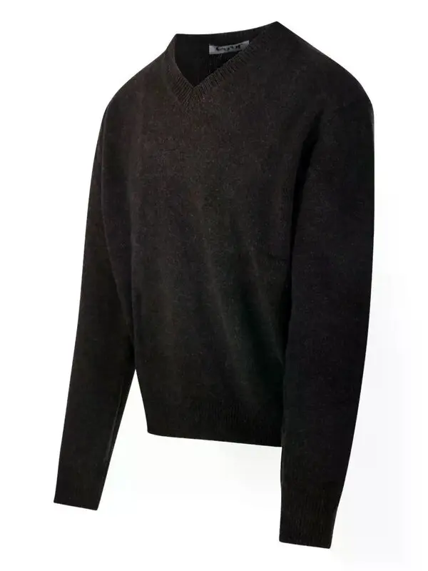 COOR Long-sleeve V-neck Sweater